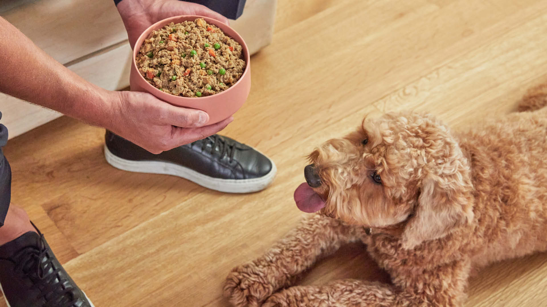 Homemade dog food cooking tips and recipe ideas - DogBitters