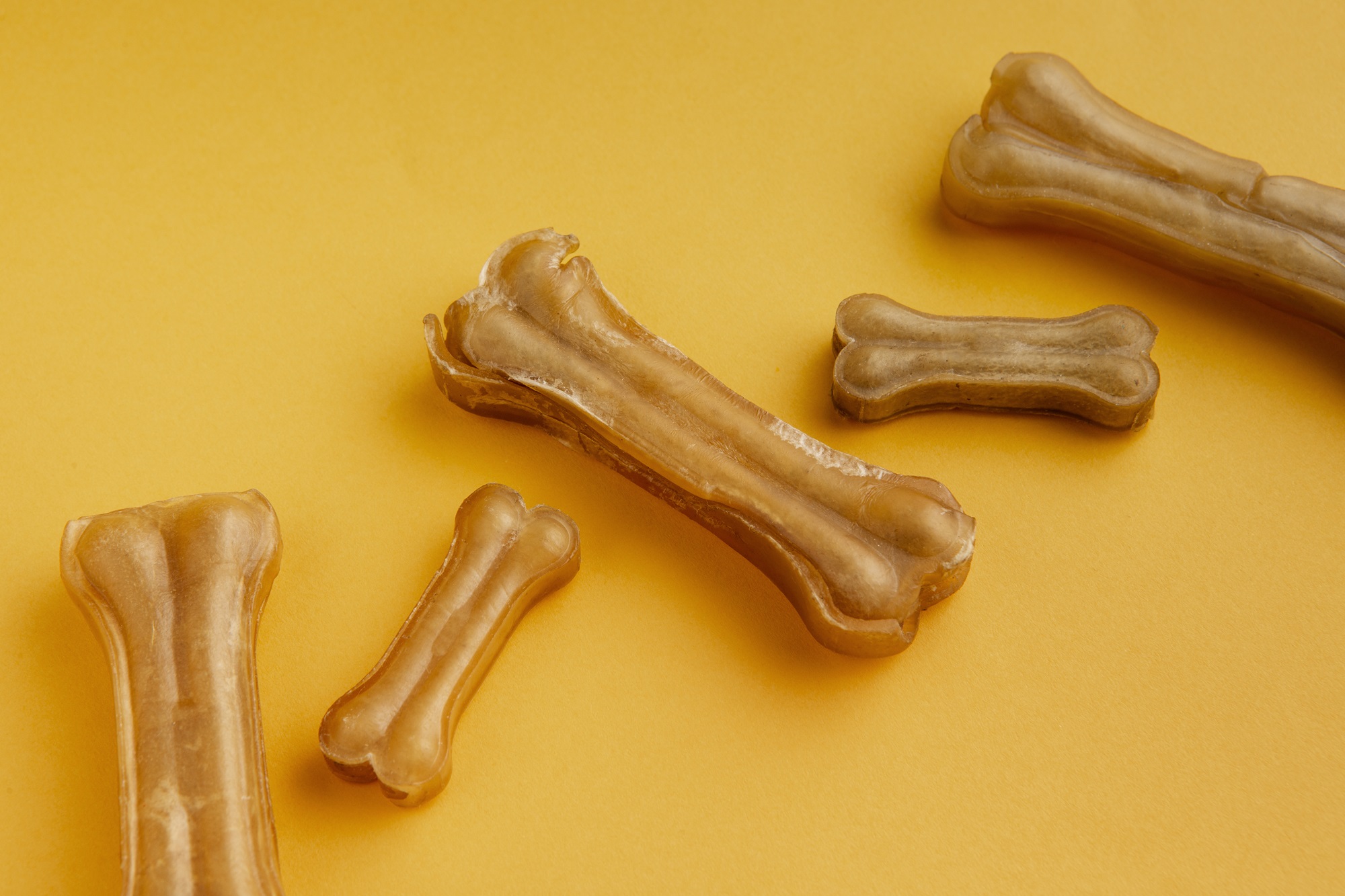 Dog bones: Are safe for your pup? - DogBitters